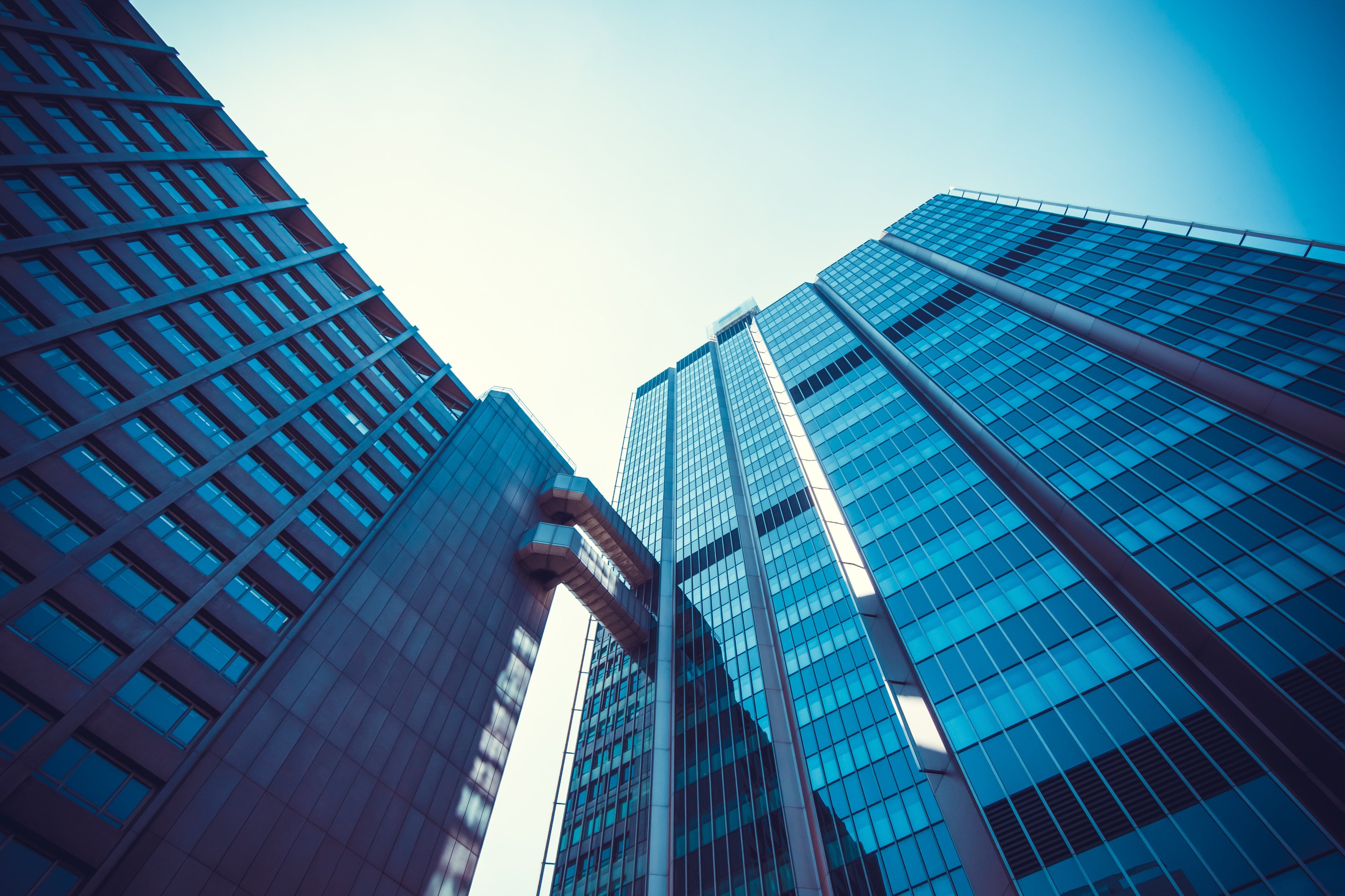 Services | PAVA Systems
